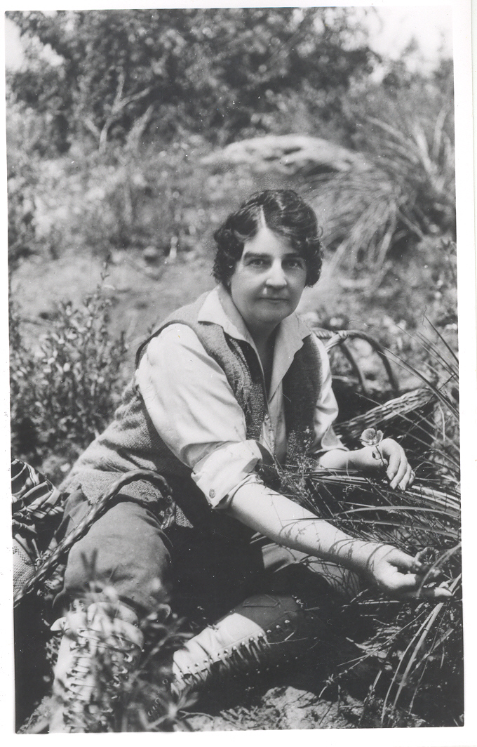 Bird's Yellow House: Loving Limberlost